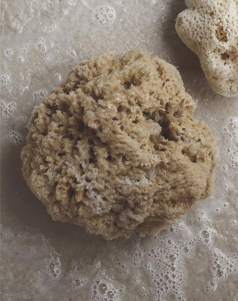 Mineral Sea Sponge – Bathing Culture